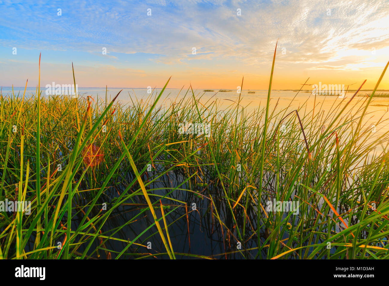Sunset Sunrise over the Danube Delta, where it meets the Black Sea in ...