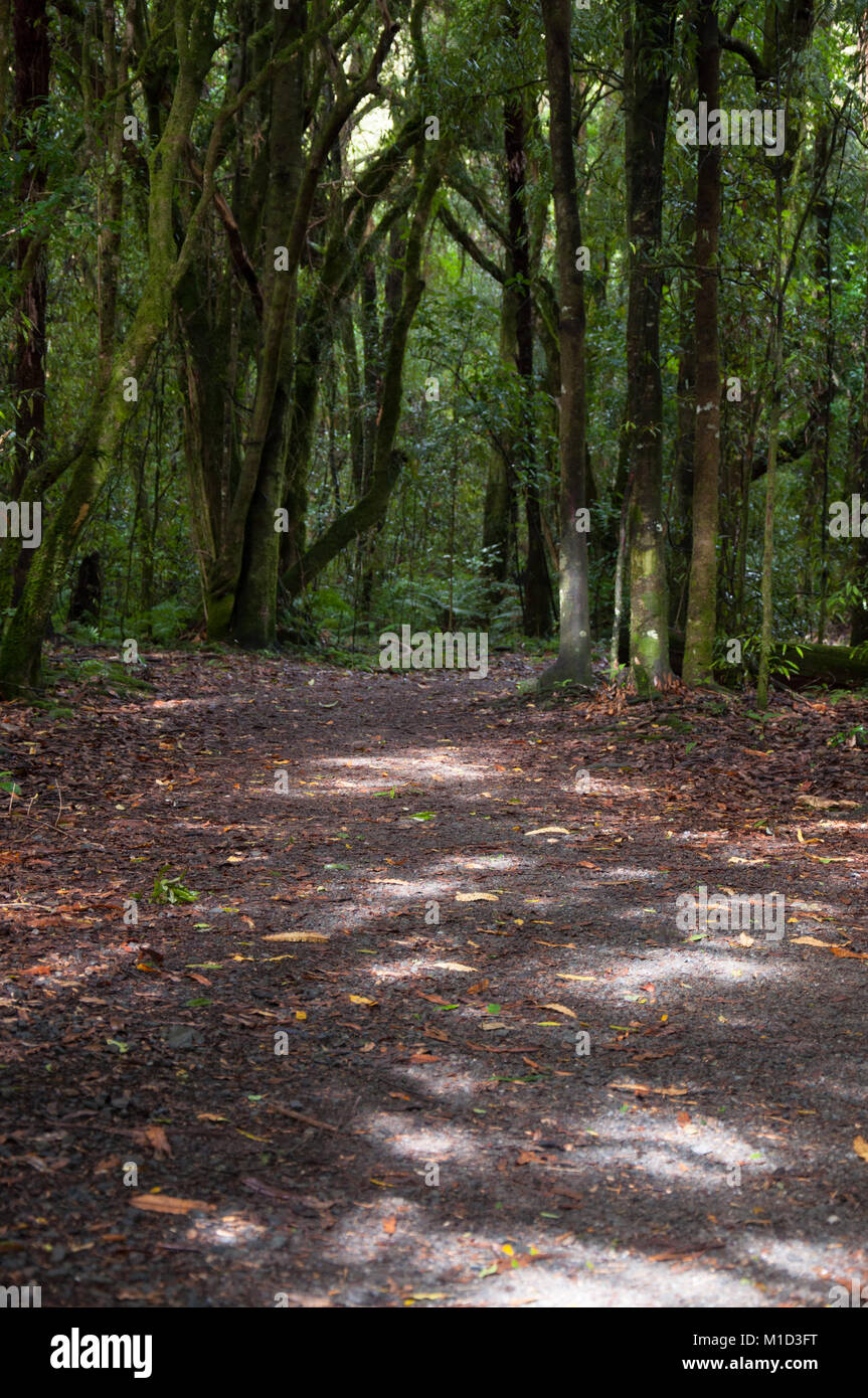 Walking track walking trail hi-res stock photography and images - Alamy
