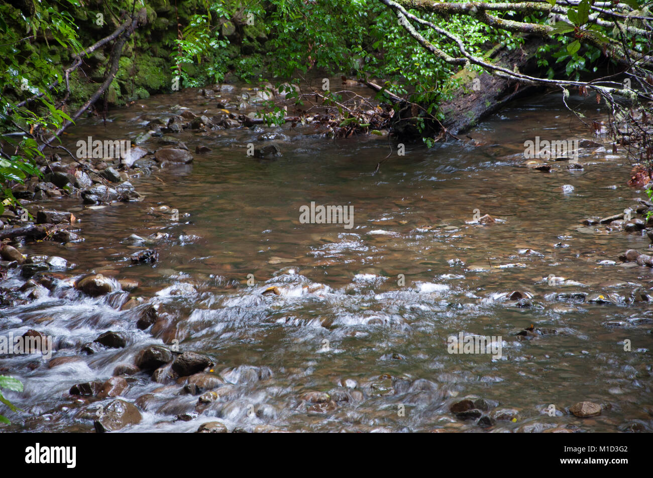 Stream Water Over Rocks Stock Photo - Alamy