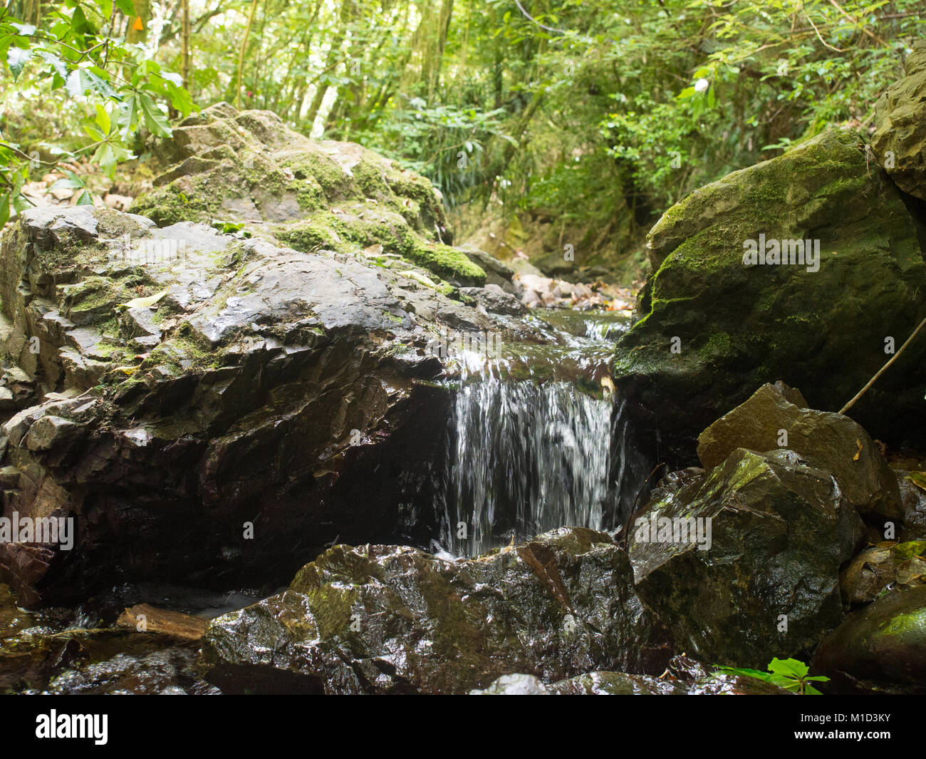 Stream water with rocks hi-res stock photography and images - Alamy