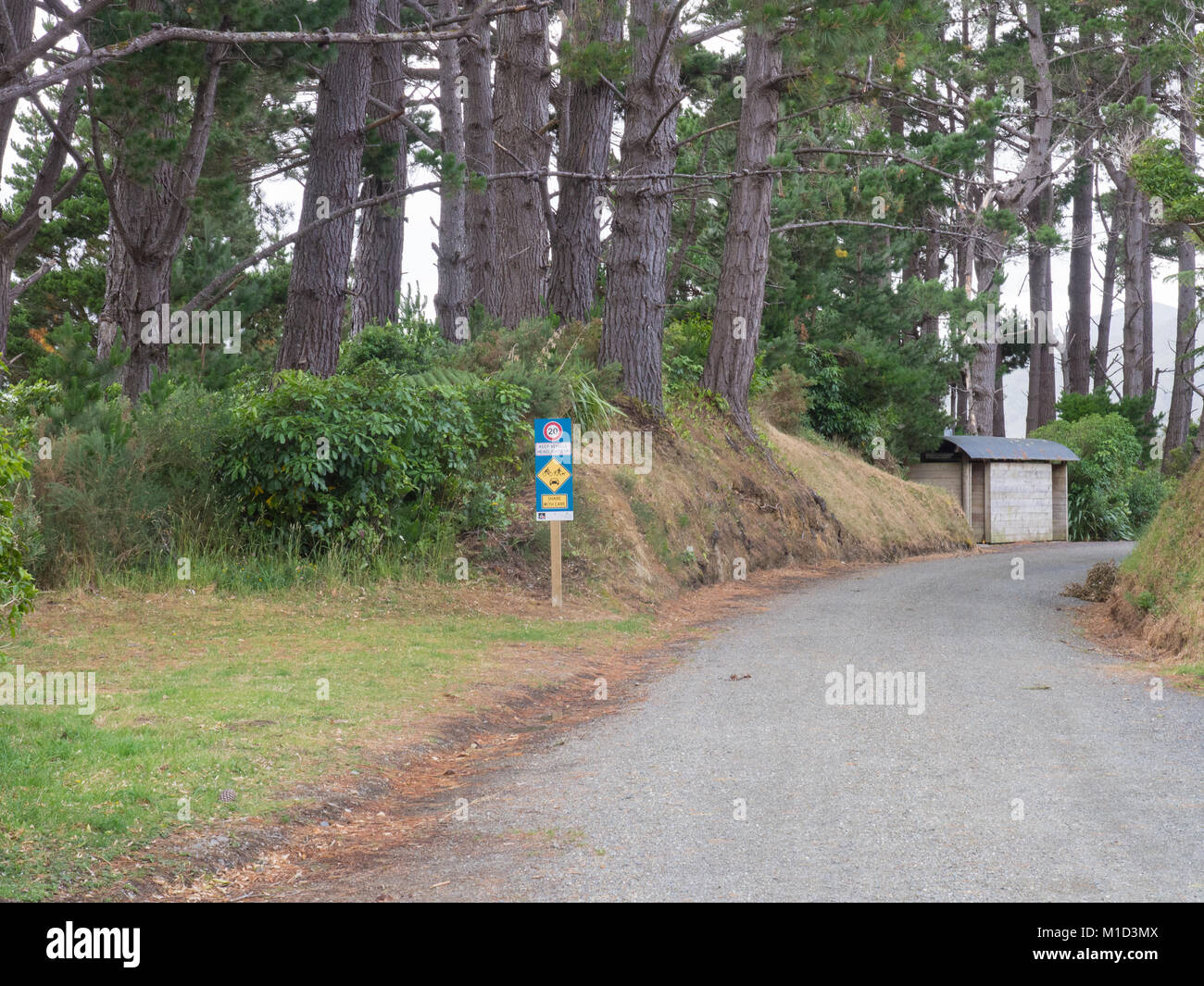 The rimutaka incline hi-res stock photography and images - Alamy