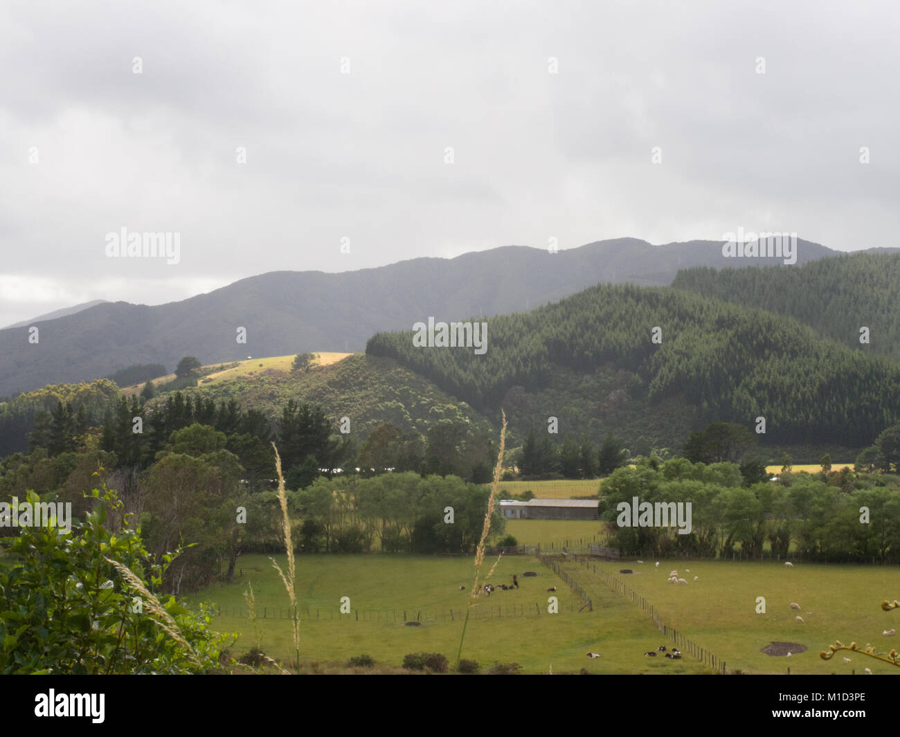 Kaitoke Farmland Landscape Stock Photo - Alamy