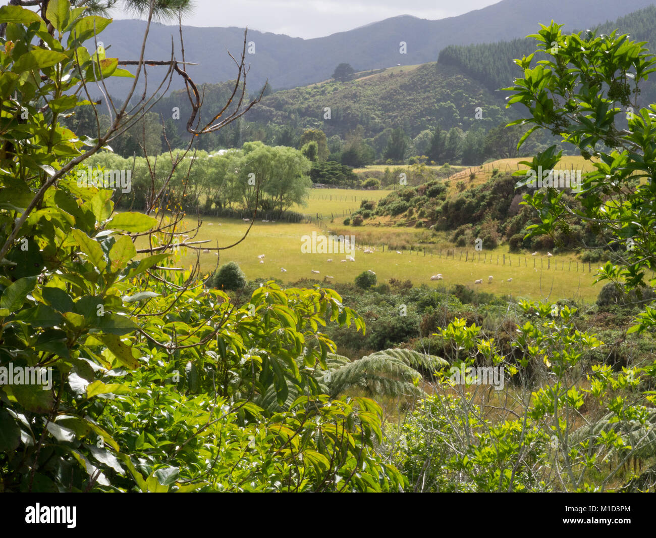 Kaitoke Farmland Landscape Stock Photo - Alamy