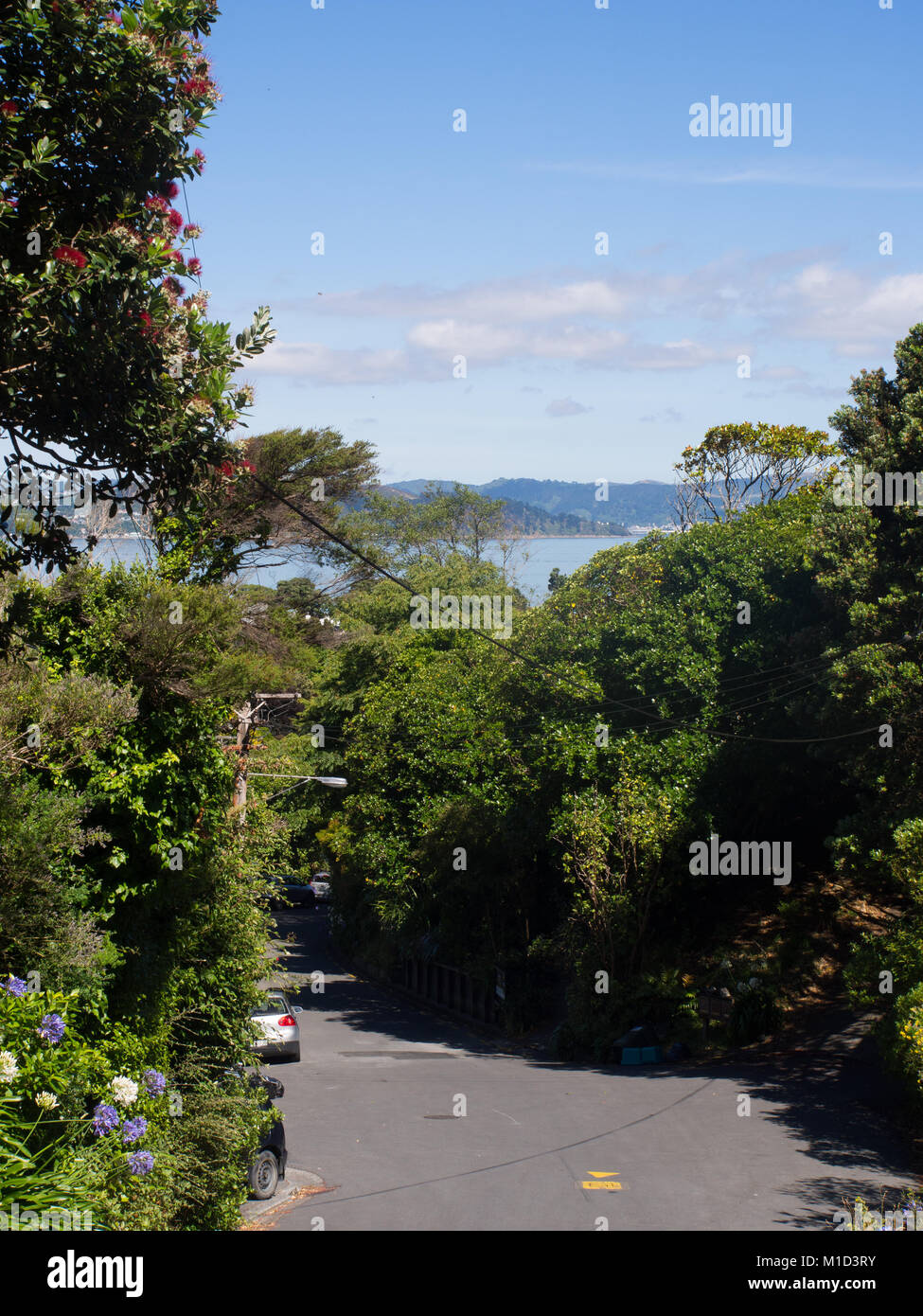 Bush Walk Scenery Stock Photo - Alamy
