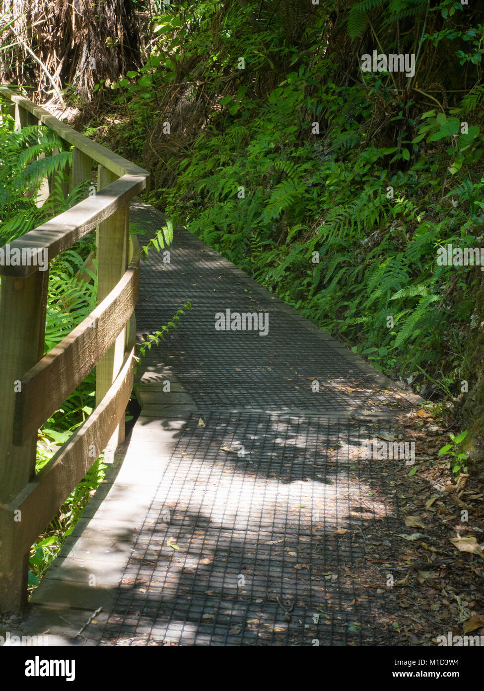 Bush Walk Track Stock Photo - Alamy