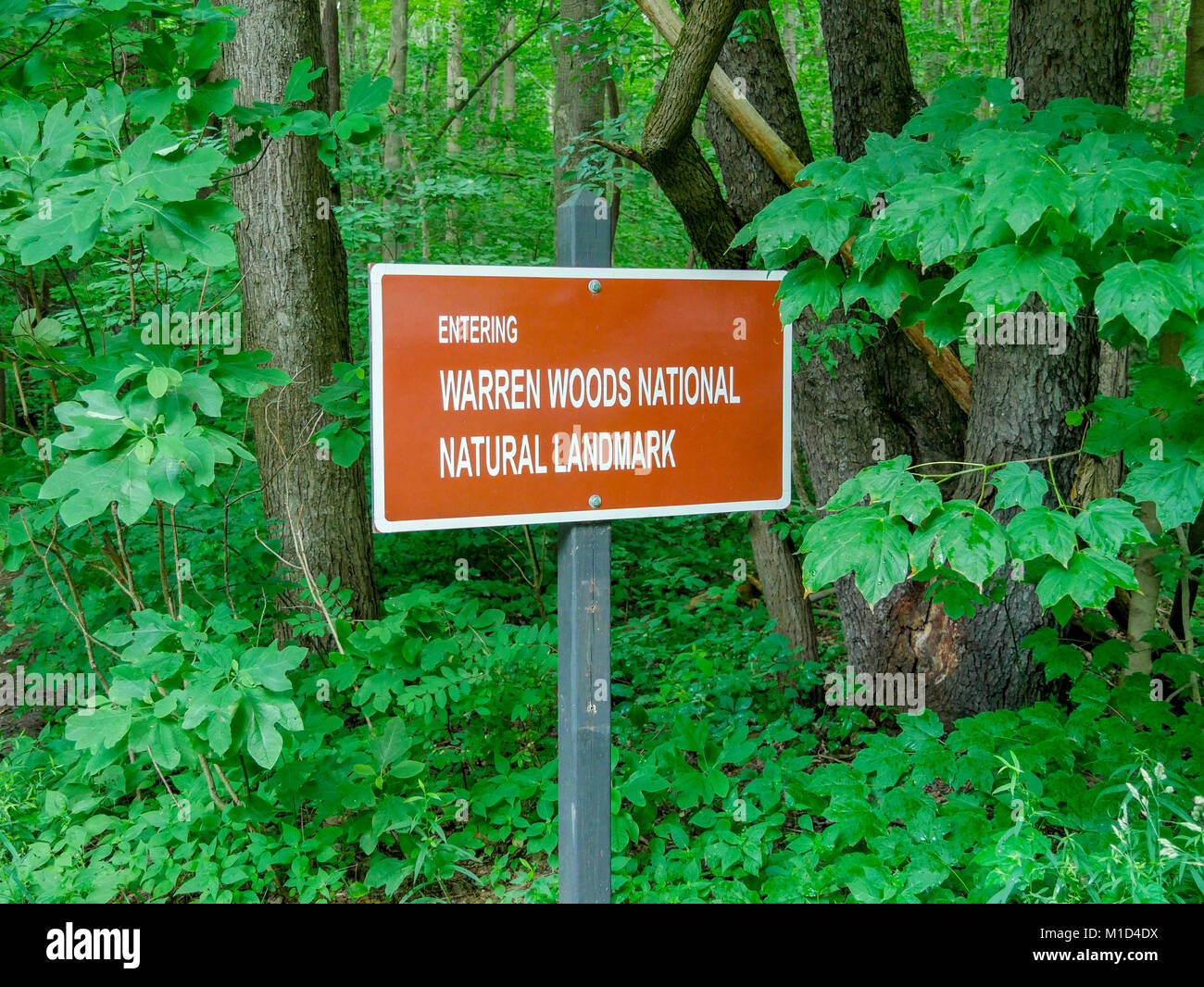 Warren Woods Natural Landmark sign. Warren Woods State Park, Michigan ...