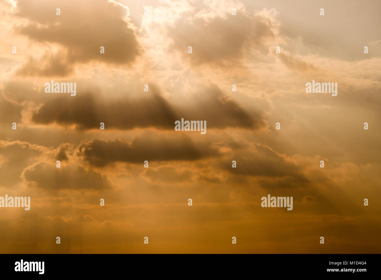 Ray shine hi-res stock photography and images - Alamy