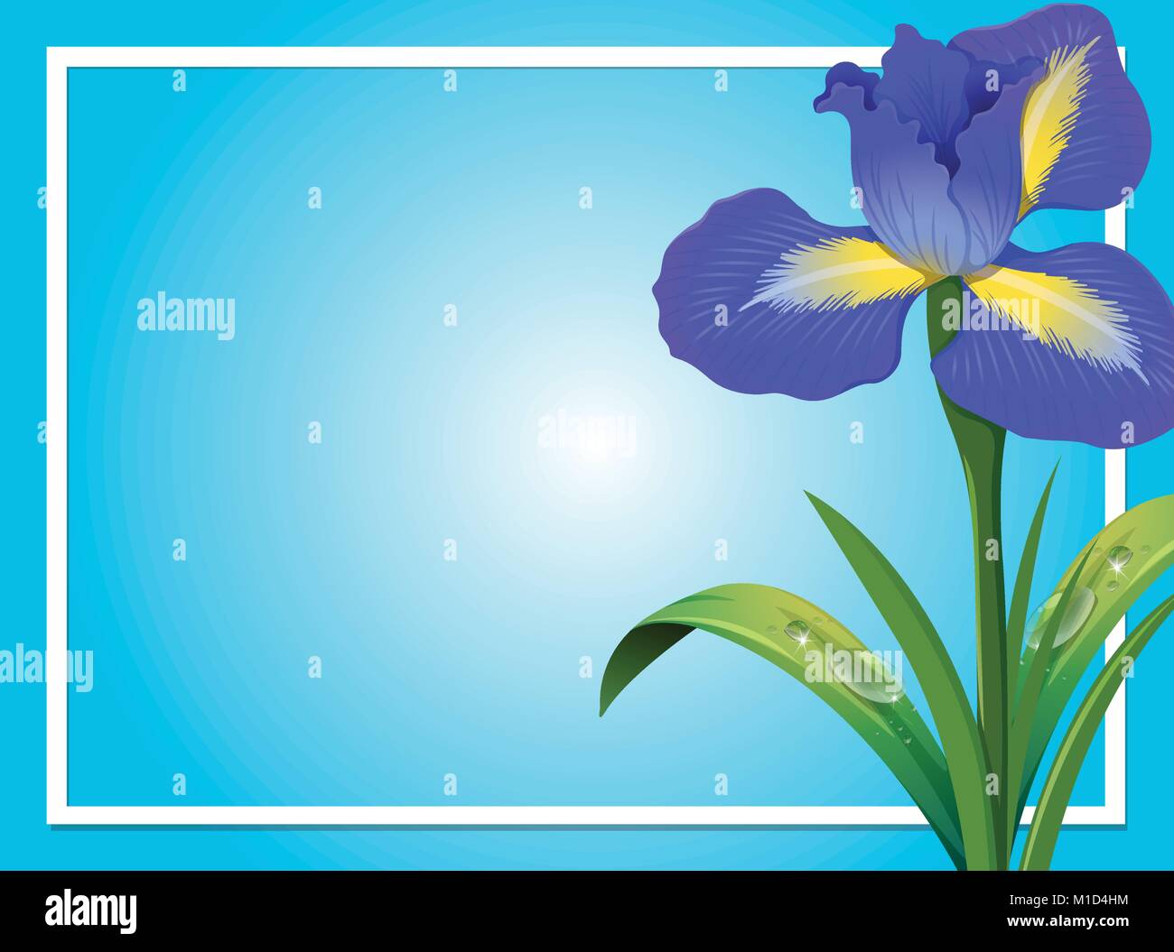 Border template with blue iris illustration Stock Vector Image & Art ...