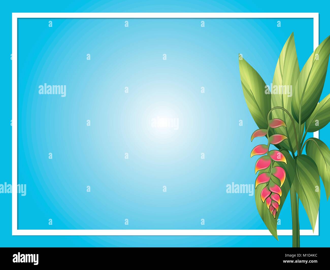 Border template with bird of paradise illustration Stock Vector Image ...
