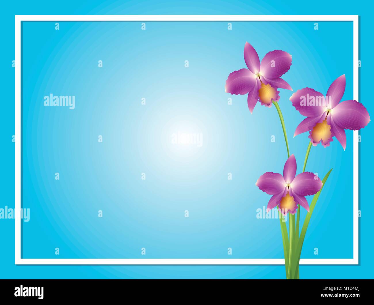 Orchid border Stock Vector Images - Alamy