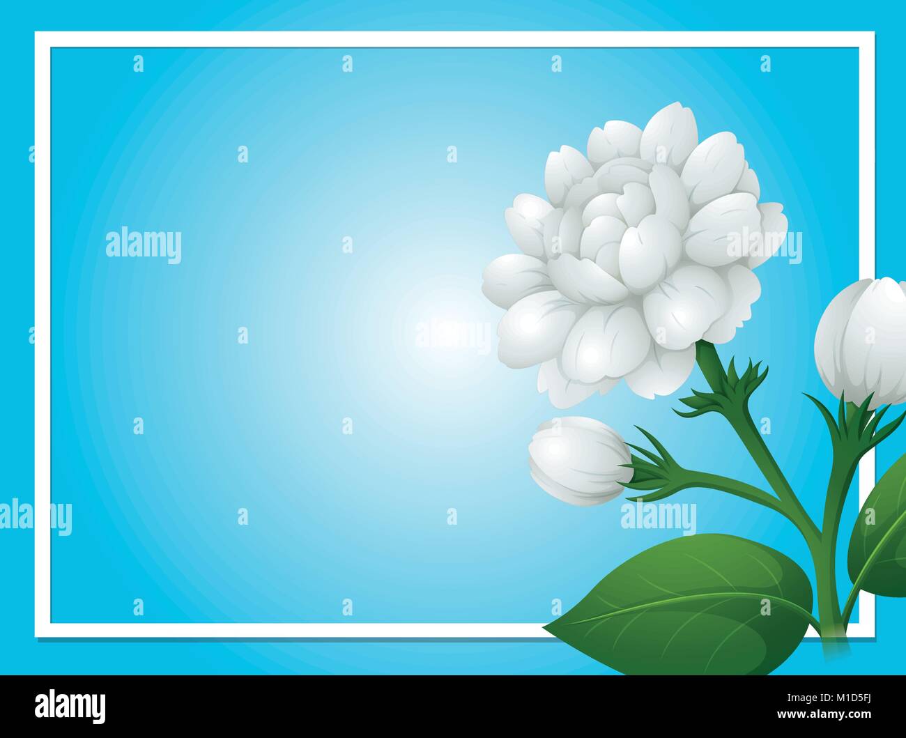 Border template with white jasmine flowers illustration Stock Vector ...