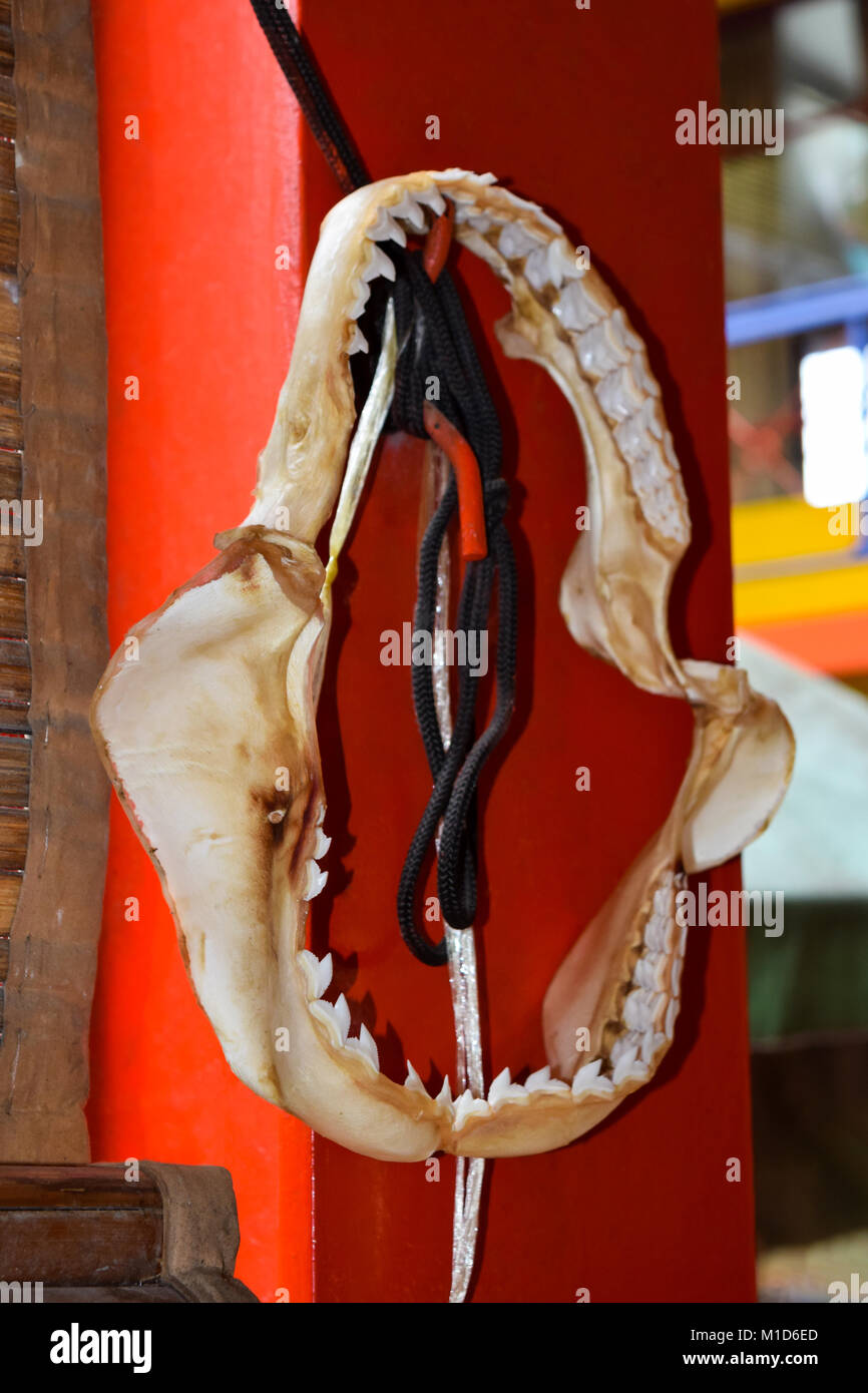 Hanging shark hi-res stock photography and images - Alamy