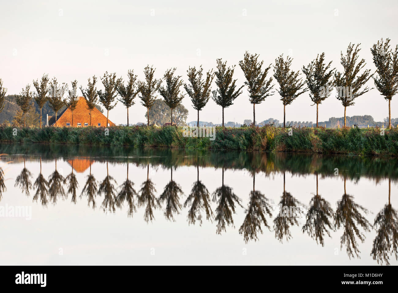 The Netherlands, Zuidoostbeemster, Beemster Polder, Unesco World ...