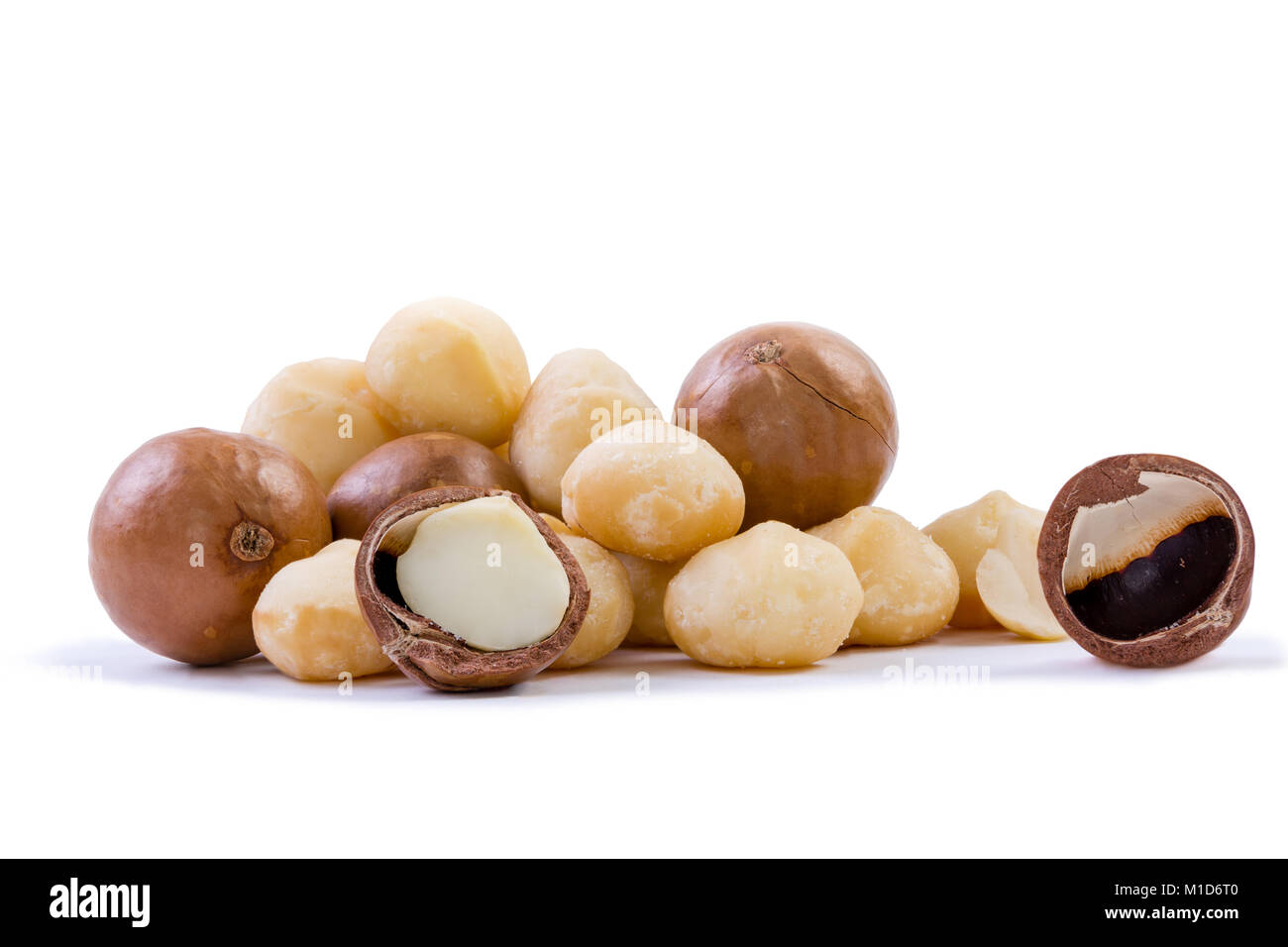 Sale shells Cut Out Stock Images & Pictures - Alamy