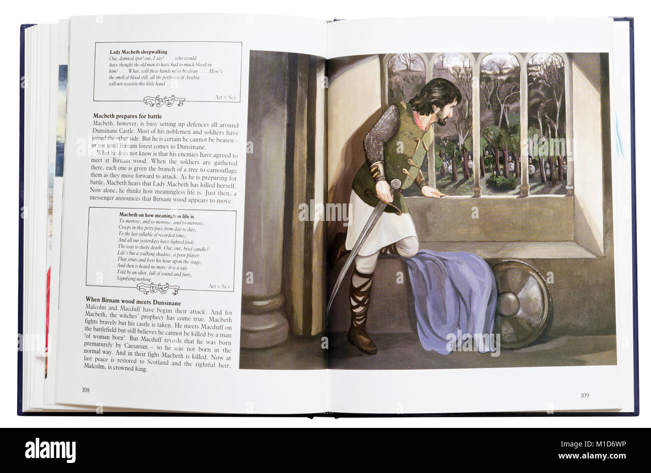 Birnam wood macbeth hi-res stock photography and images - Alamy