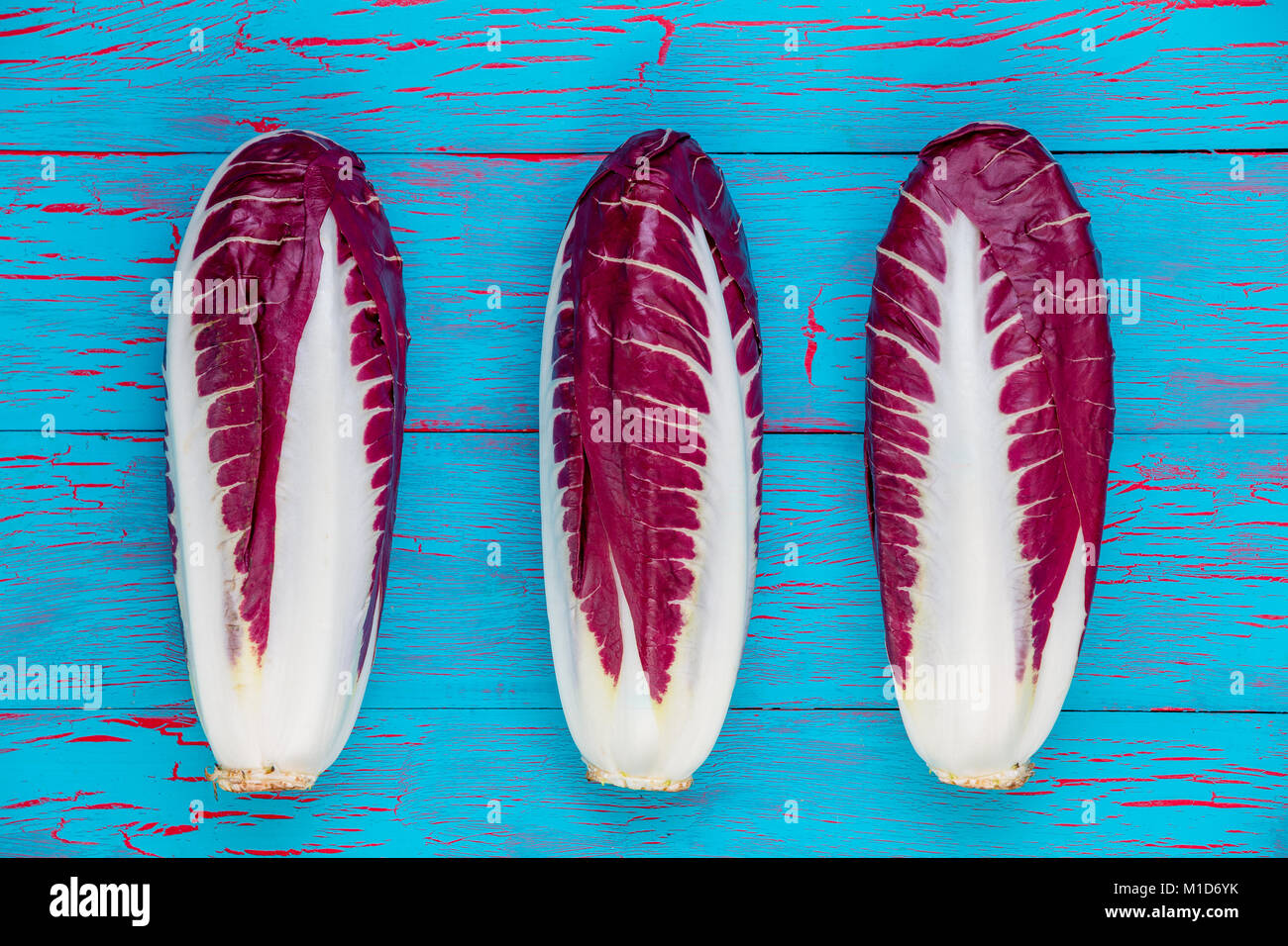Line of three fresh red and white-veined radicchio or Italian chicory ...
