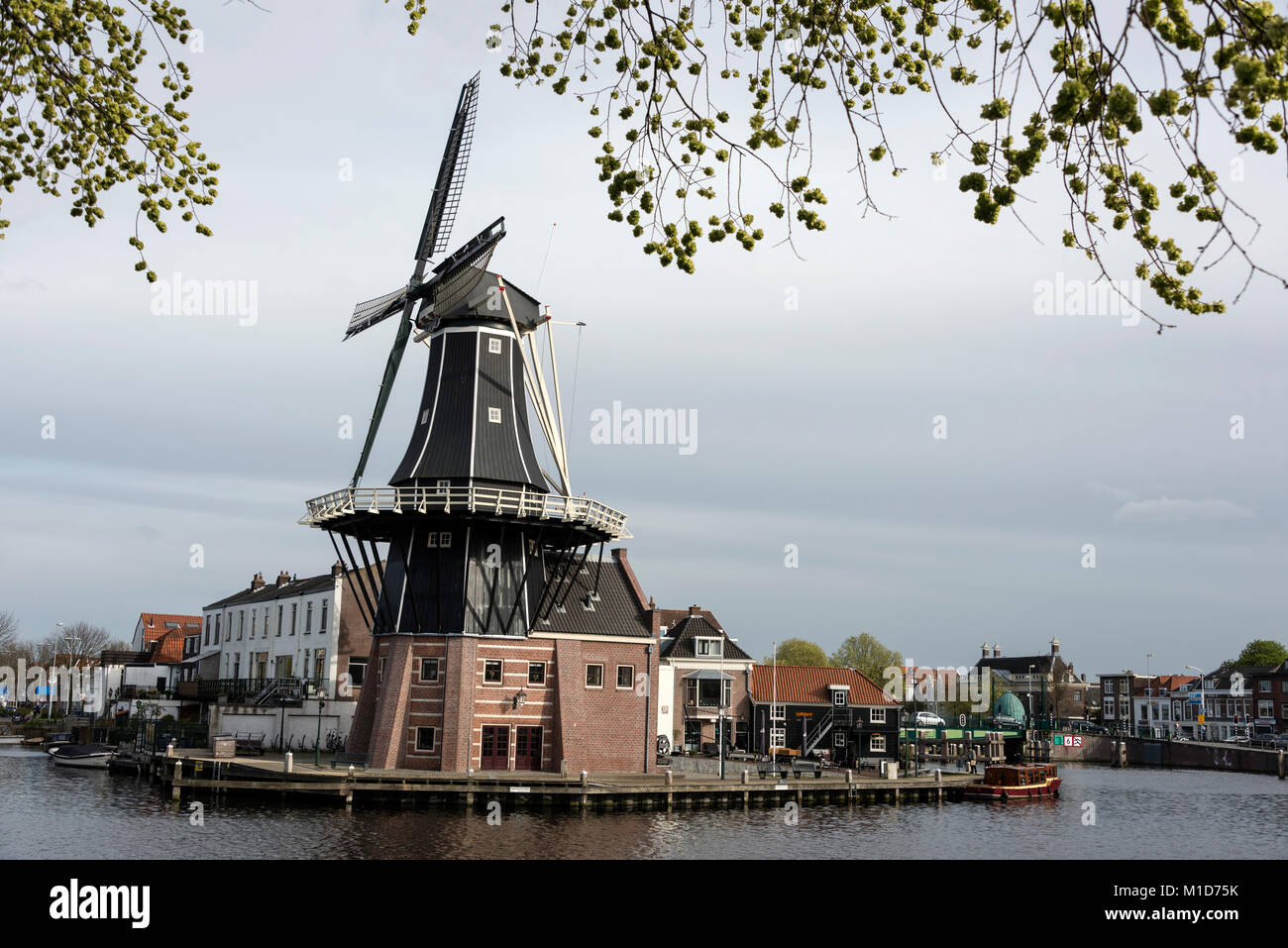 On the bend of the Spaarne River that cuts its way through the centre ...