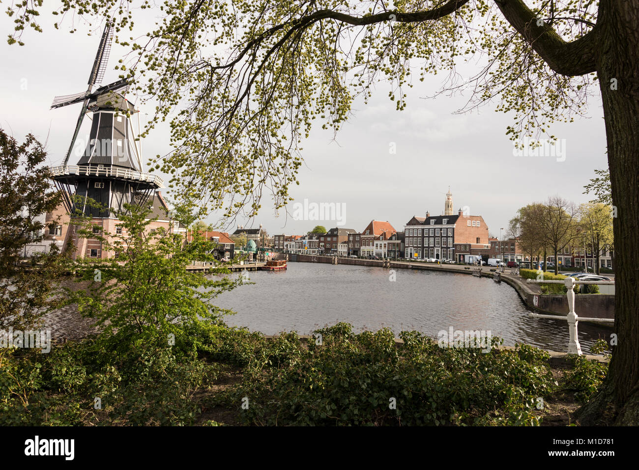 Spaarne river hi-res stock photography and images - Alamy