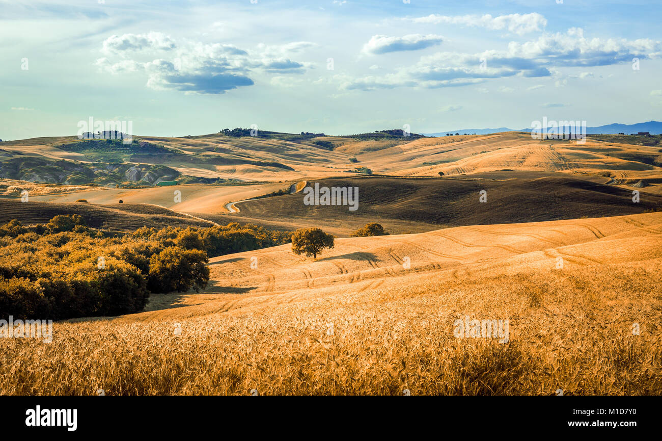 Summer tuscan landscape with typical hills and blue sky Stock Photo - Alamy