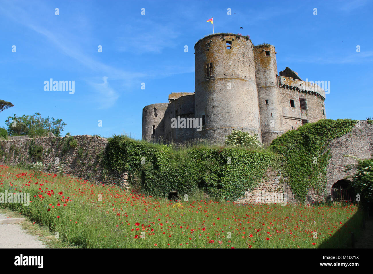 A medieval castle in Clisson (France Stock Photo - Alamy