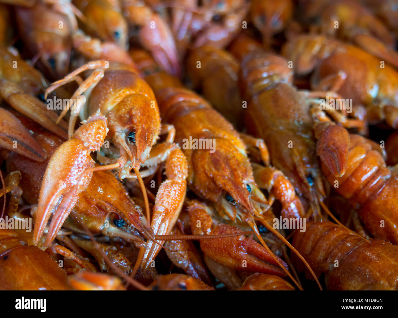 Many boiled crayfish lie on a platter Stock Photo - Alamy