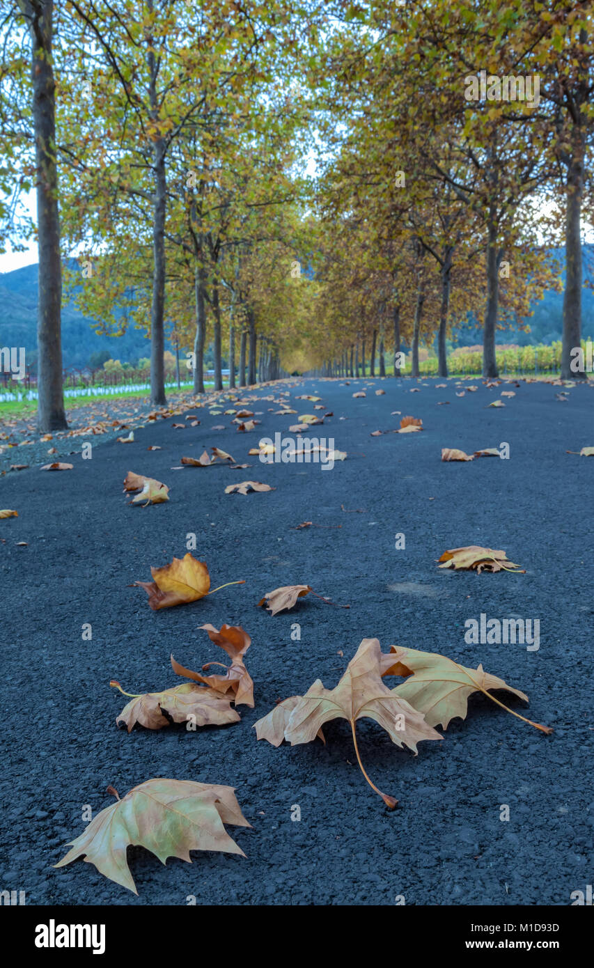 Fallen london hi-res stock photography and images - Alamy