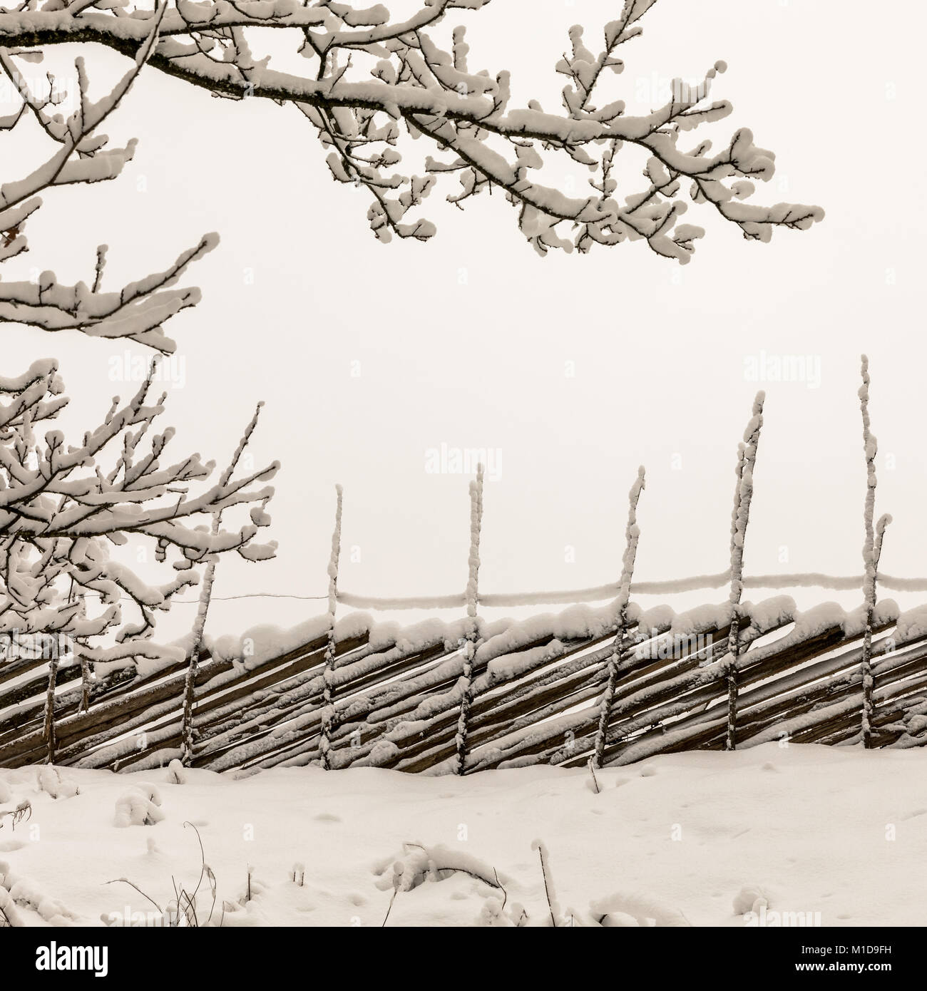 Roundpole fence covered in snow, winter in Norway Stock Photo - Alamy