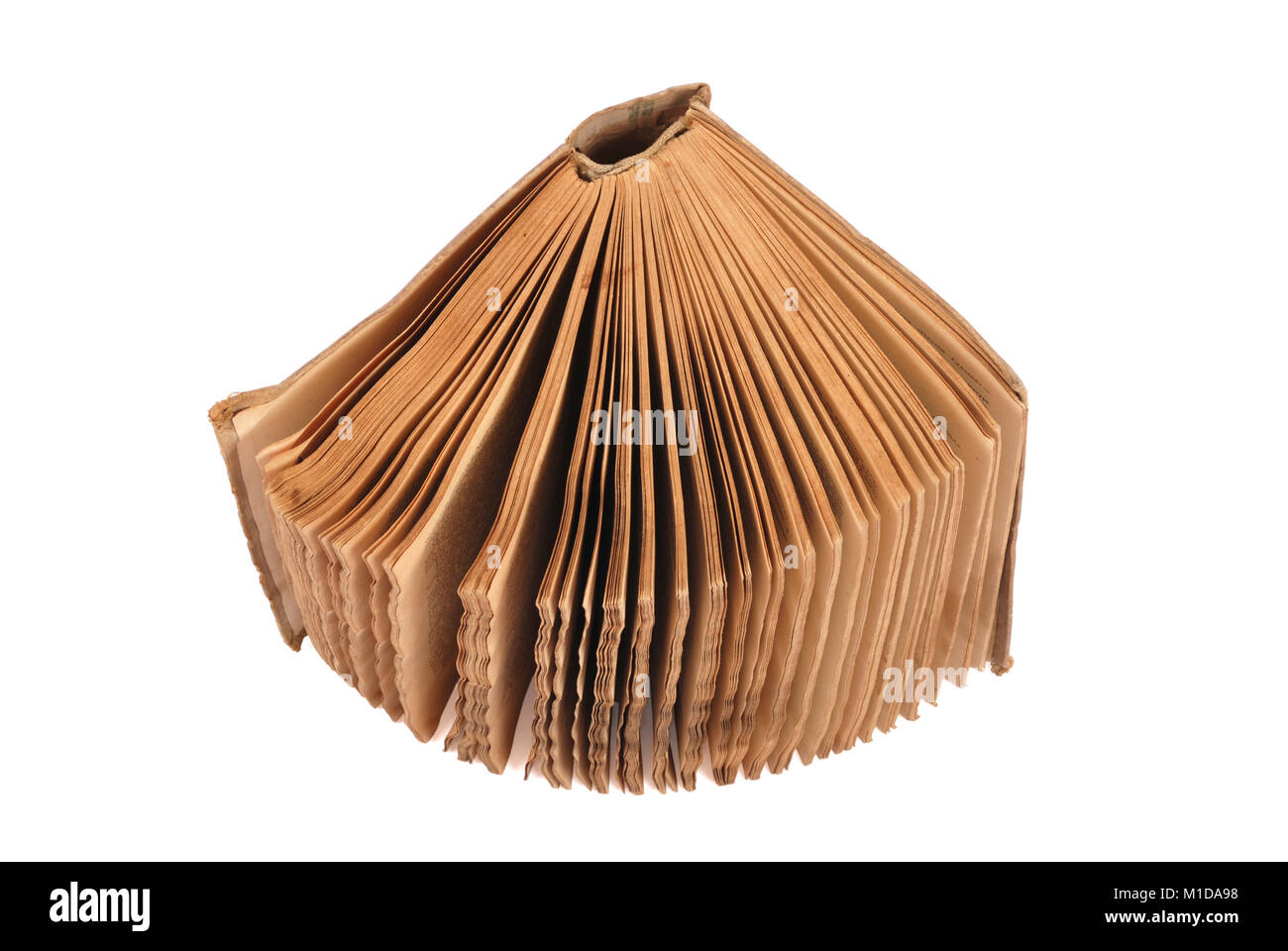 Closeup view open blank Cut Out Stock Images & Pictures - Alamy