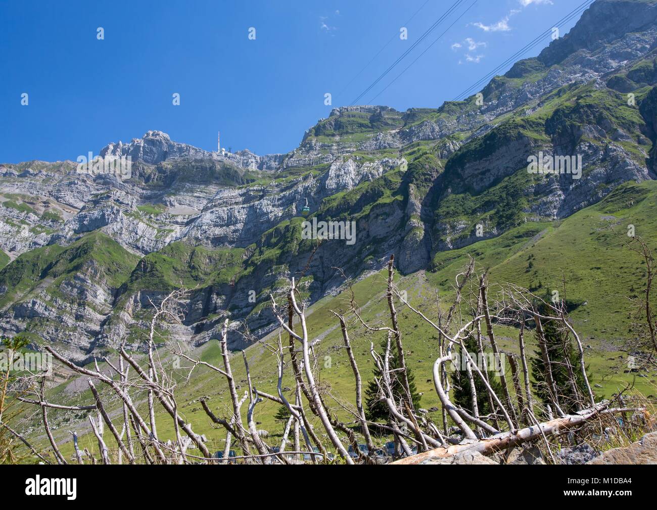 Landscape of the Alpstein and the Saentis which are a subgroup of the ...