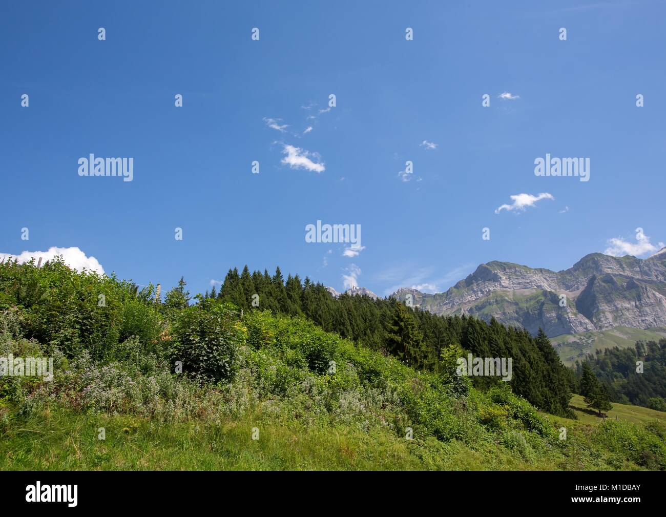 Region appenzell hi-res stock photography and images - Alamy