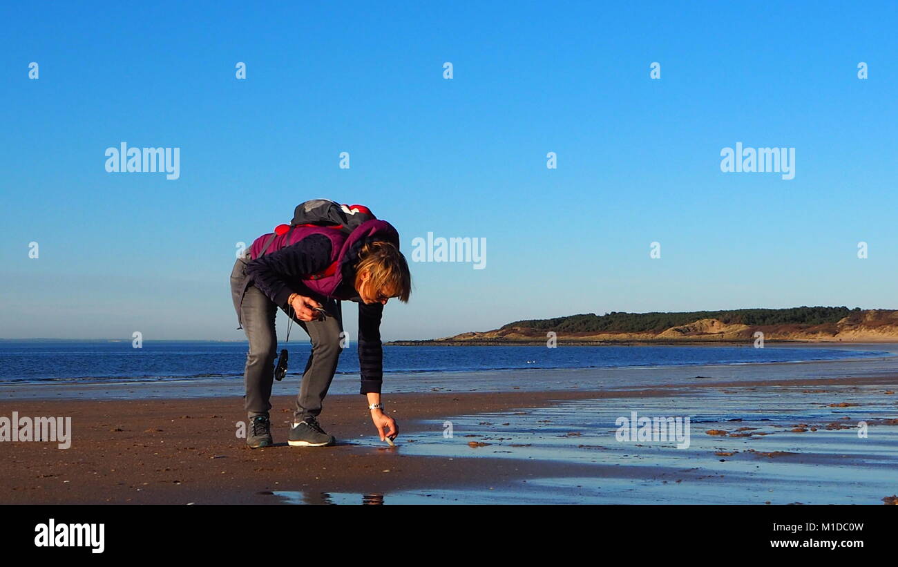 Collecting shells hi-res stock photography and images - Alamy