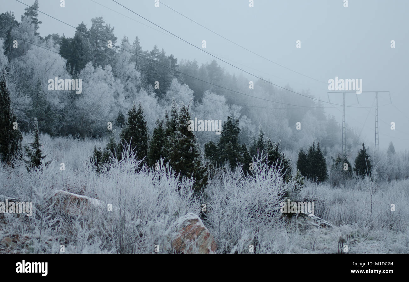 Frosty scenery with power lines och the forest Stock Photo - Alamy