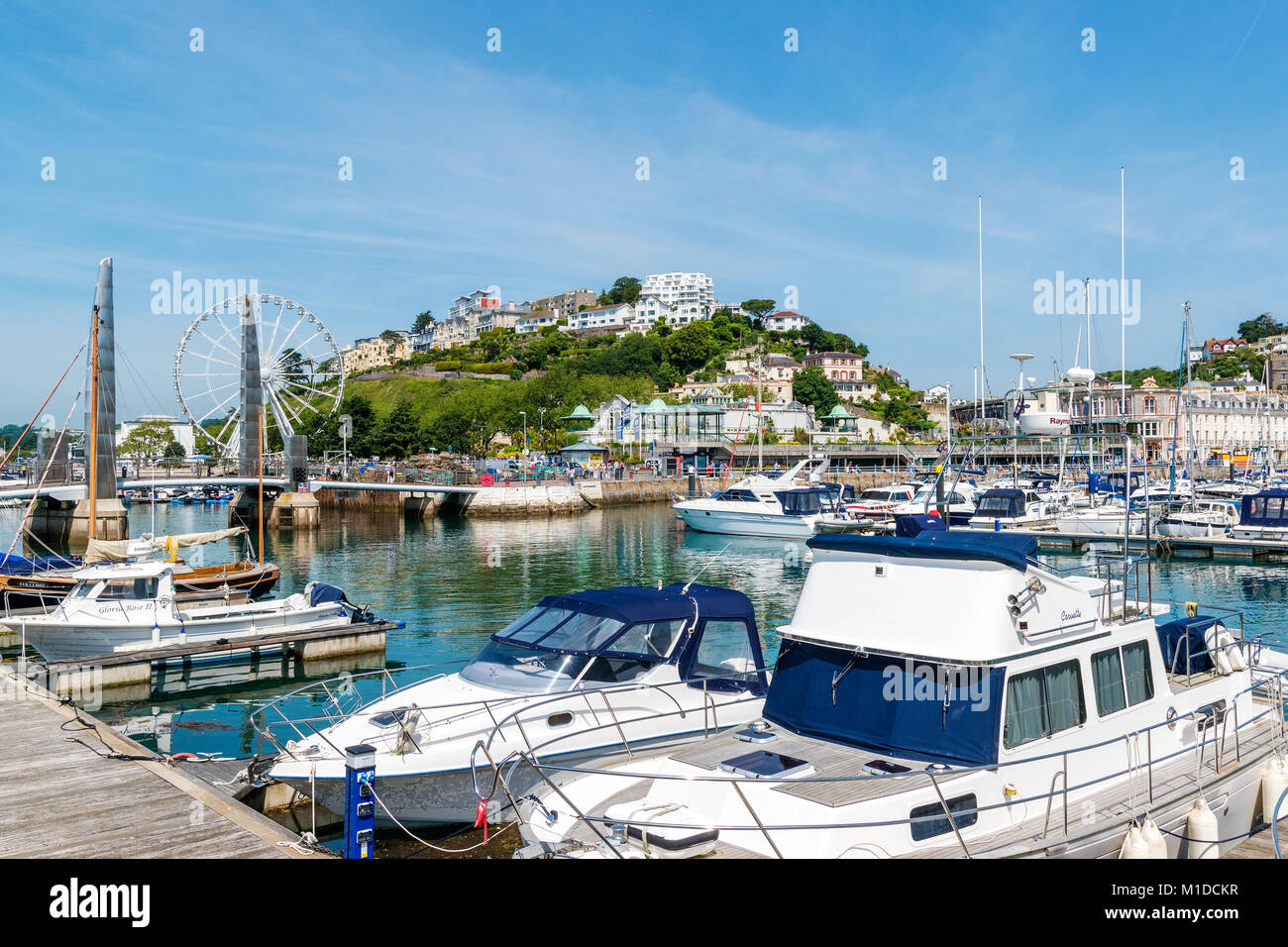 Devon marina hi-res stock photography and images - Alamy