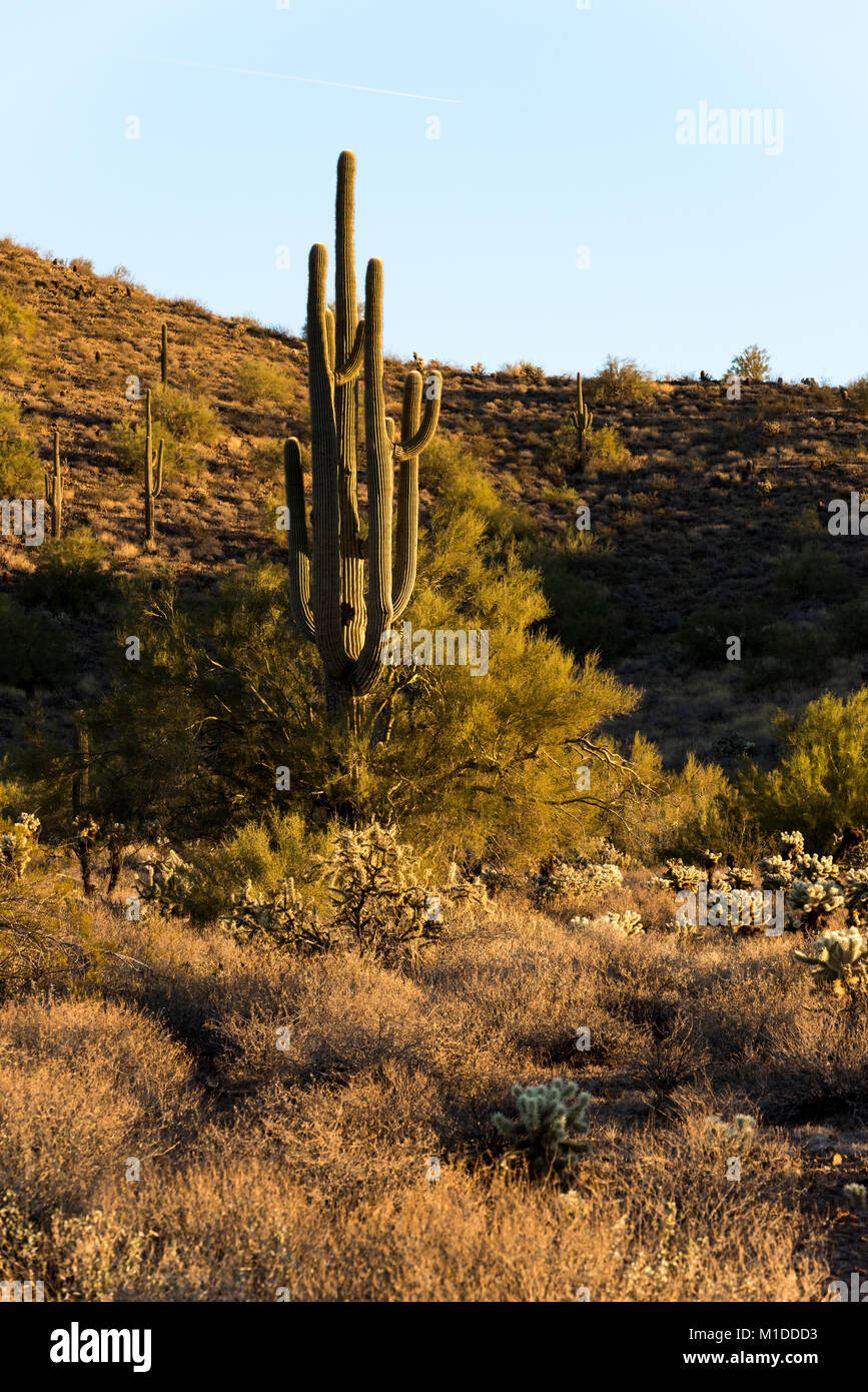 Apache wash hi-res stock photography and images - Alamy