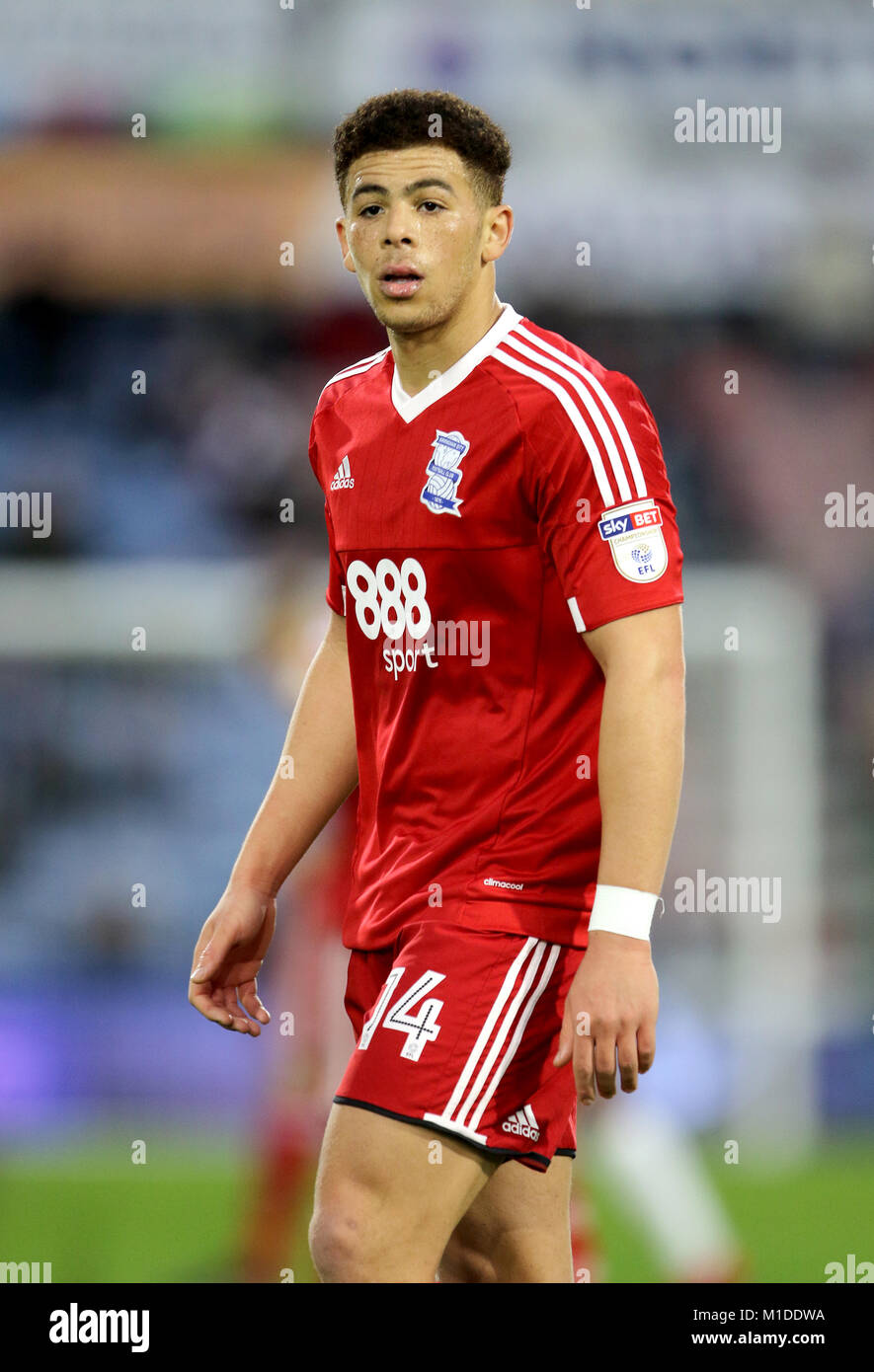 Birmingham City's Che Adams Stock Photo - Alamy