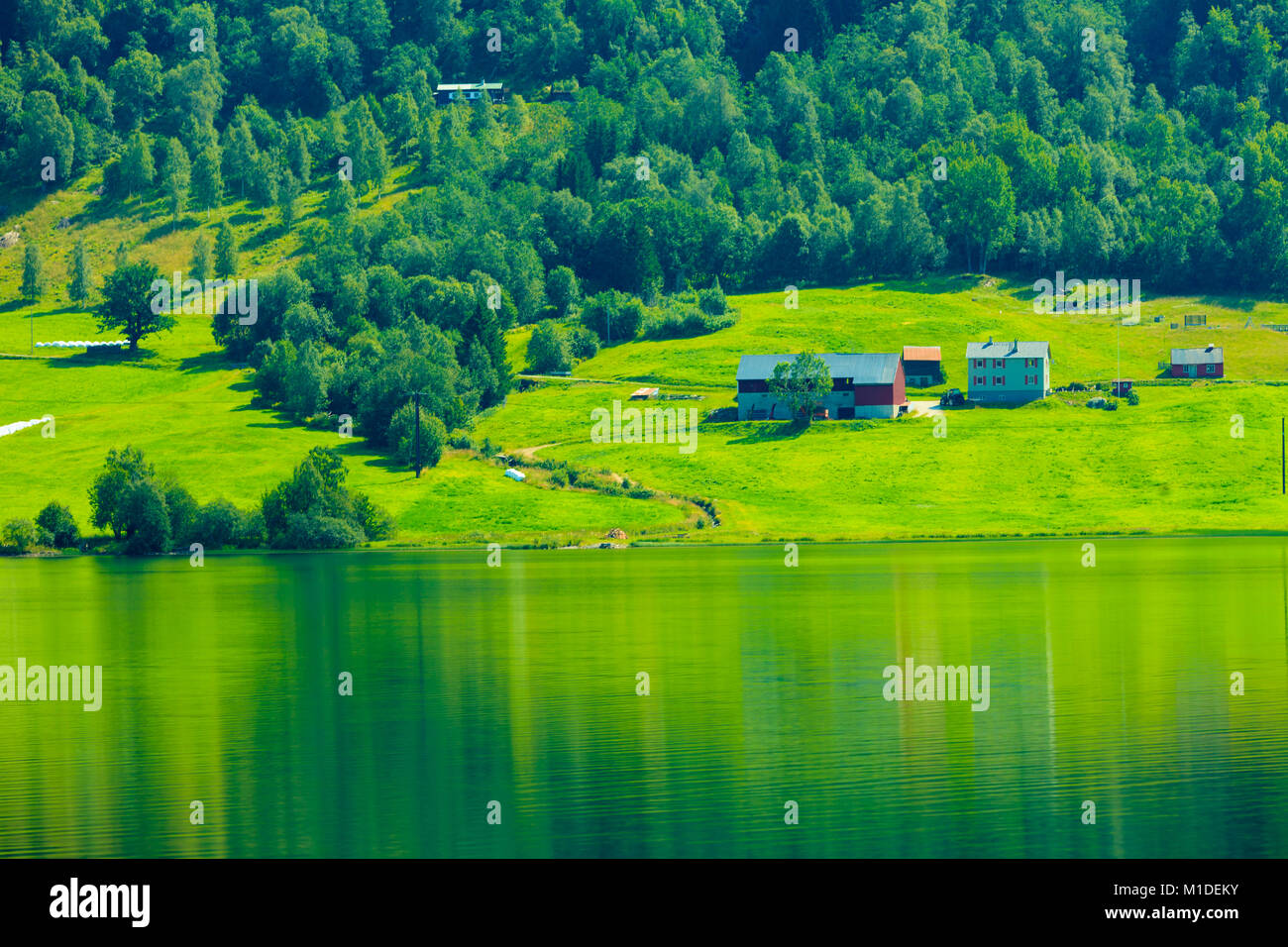Norwegian country house hytte in the mountains. Beautiful fjords ...