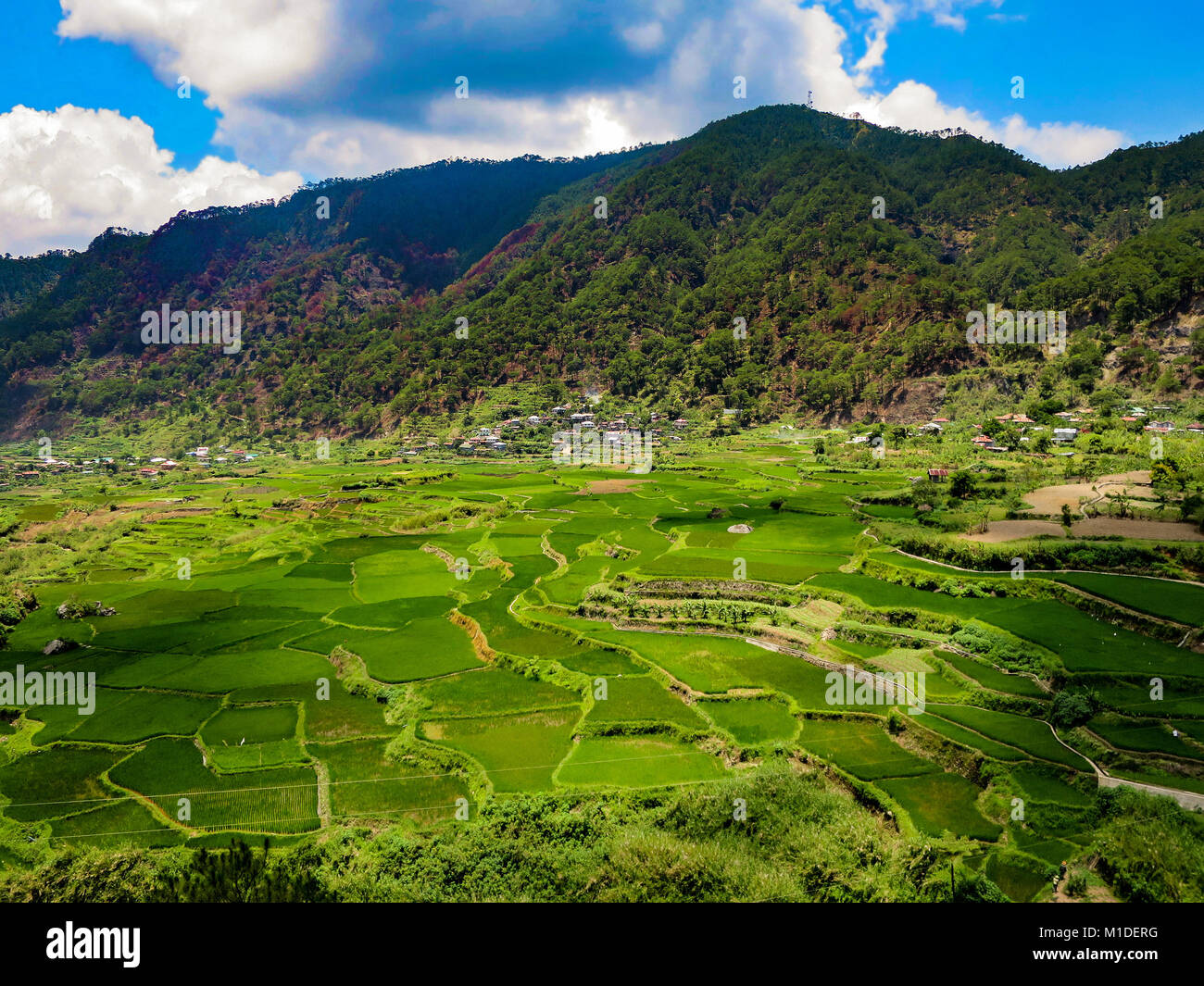 Rice terraces of Sagada in Northern Luzon, surrounded by the Cordillera Mountains, appear ...