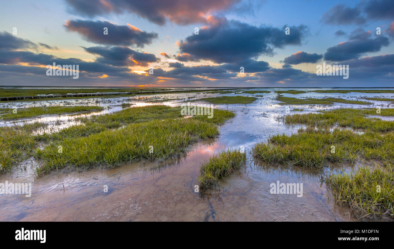 Wadden sea mud-flats of a tidal marsh where new land is being created ...