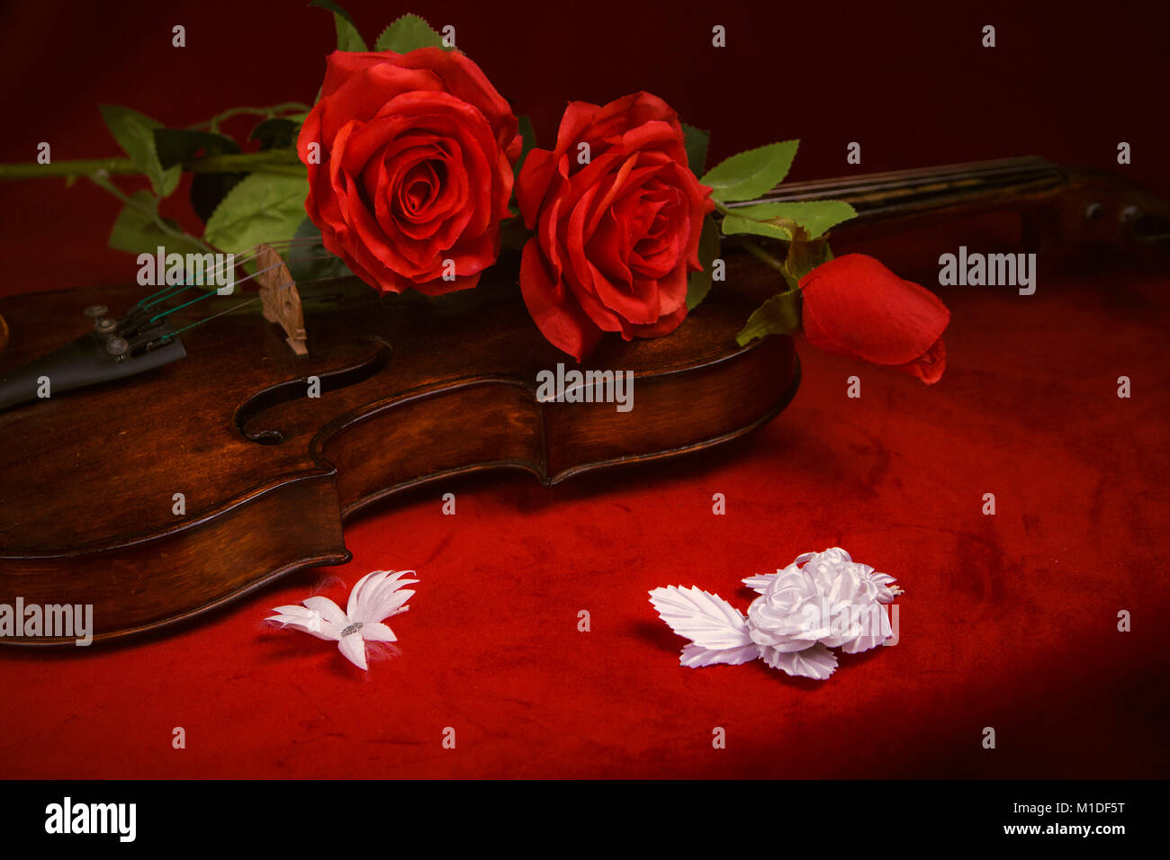 Valentine violin with red roses on a dark red background Stock Photo ...