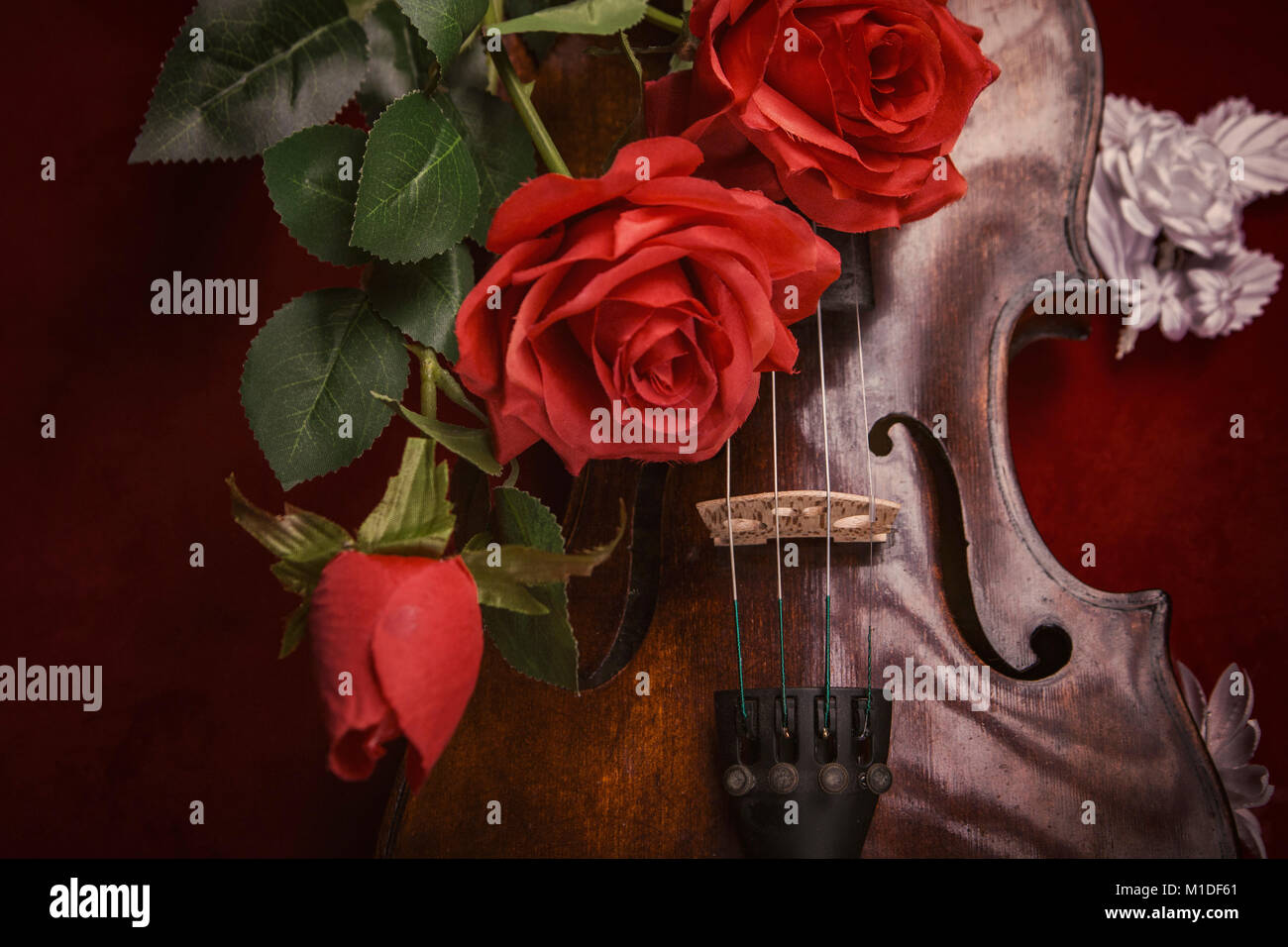Valentine violin with red roses on a dark red background Stock Photo ...