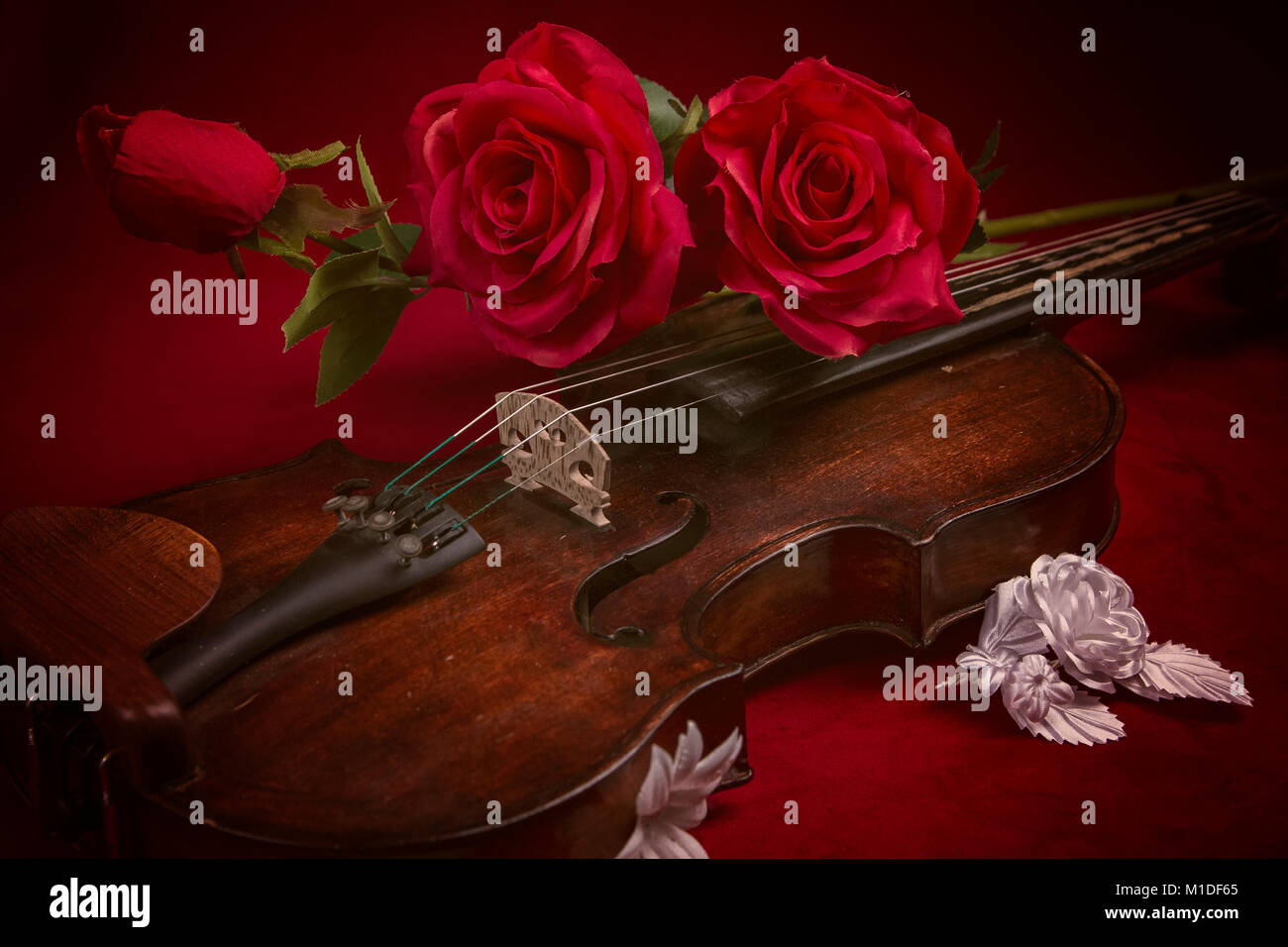 Valentine violin with red roses on a dark red background Stock Photo ...
