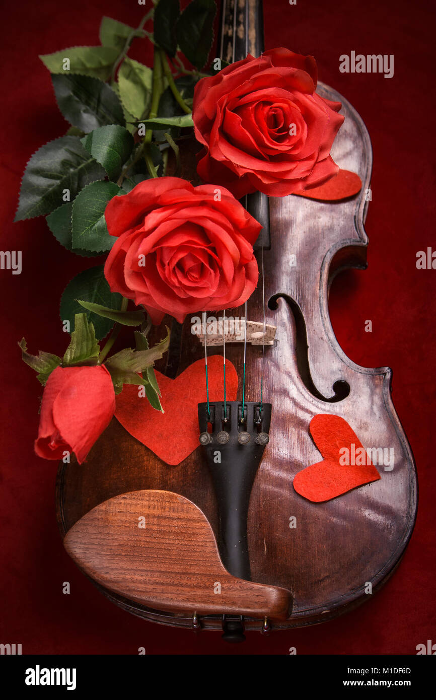 Valentine violin with red roses on a dark red background Stock Photo ...
