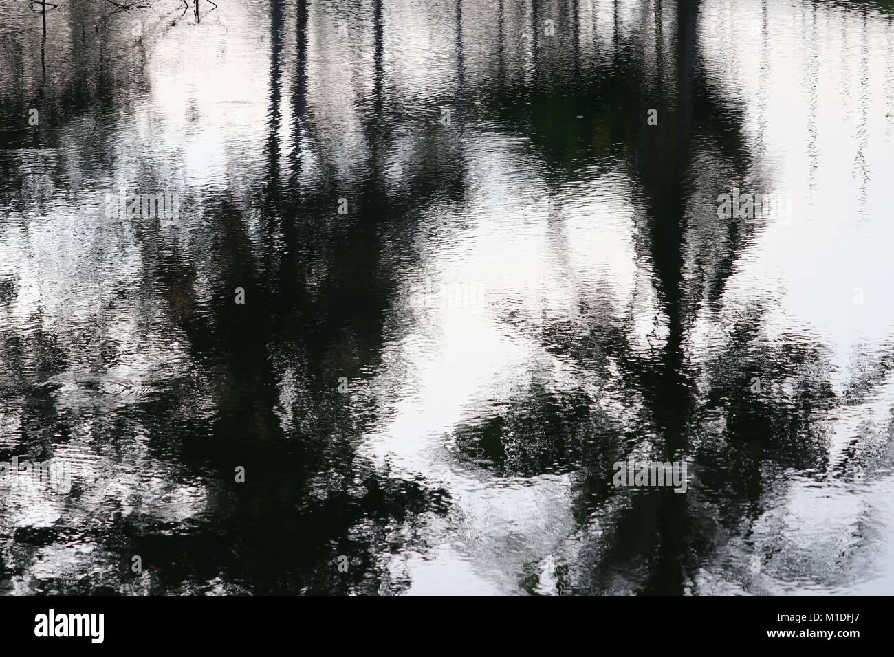 reflection river and shadow tree in water beautiful nature Stock Photo ...