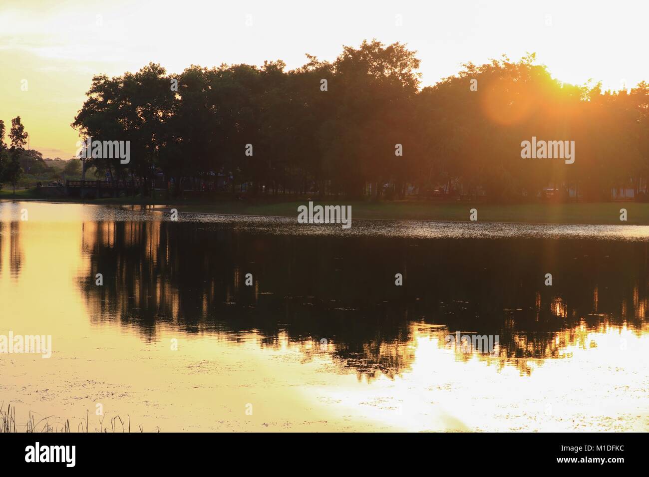 reflection river and shadow tree in water beautiful sunset nature Stock ...