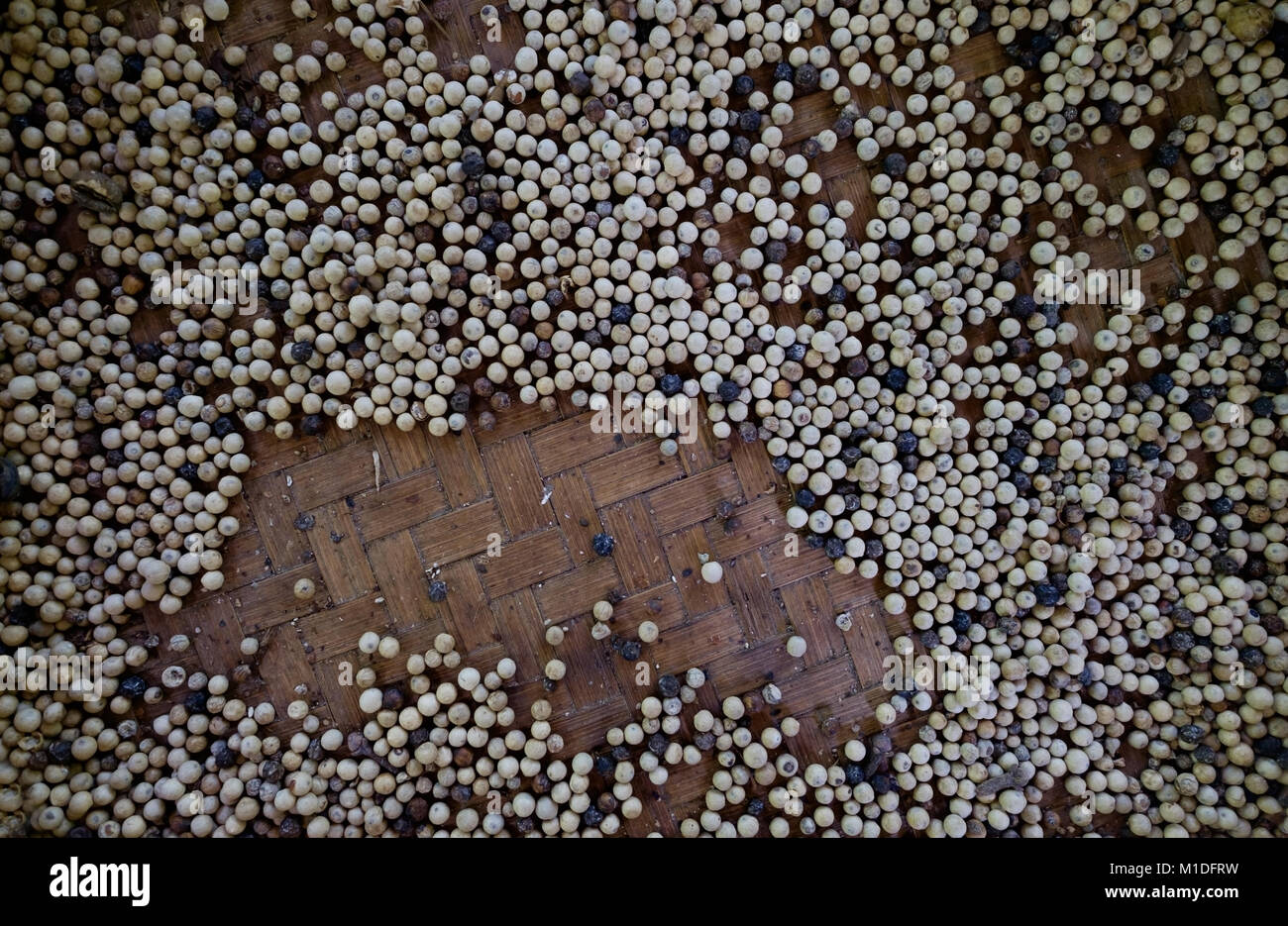 Round white spicy pepper textured background. Organic spice for healthy ...