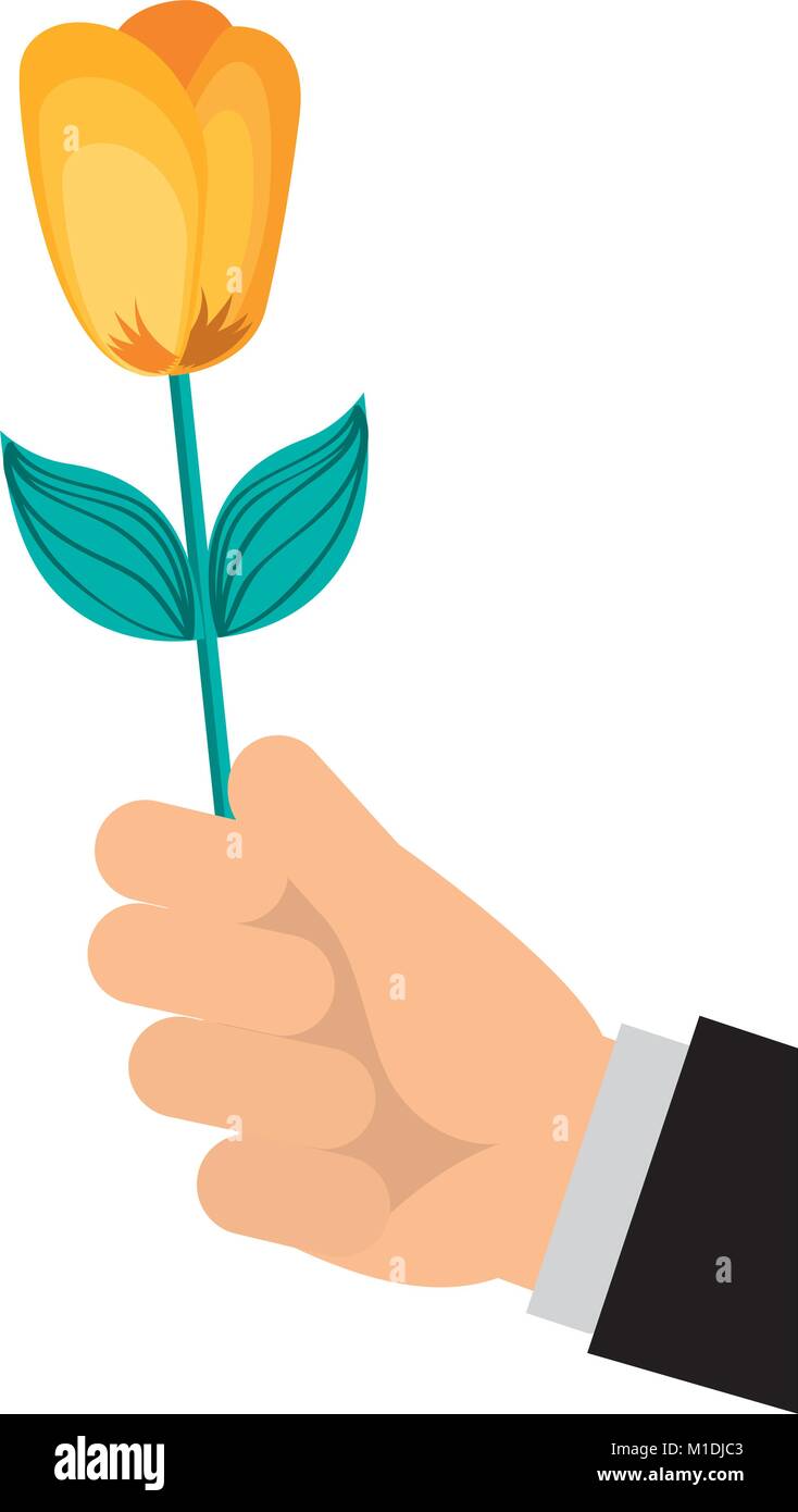 hand holding beautiful flower nature vector illustration Stock Vector ...