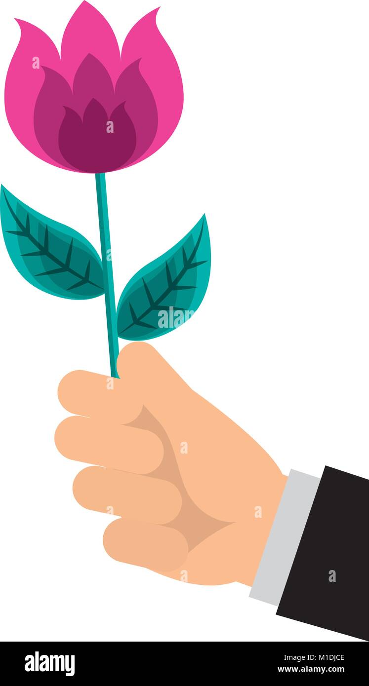 hand holding beautiful flower nature vector illustration Stock Vector ...