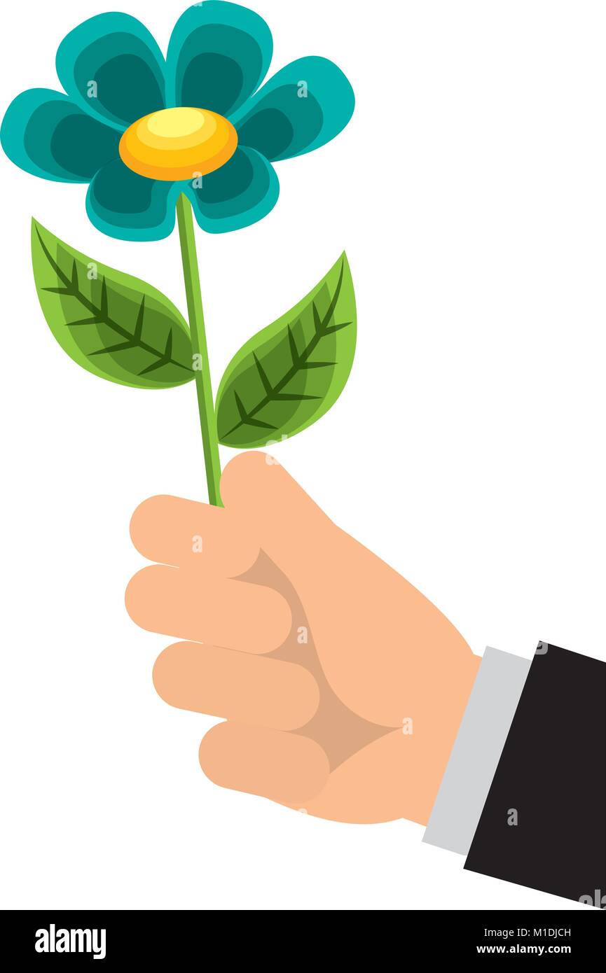 hand holding beautiful flower nature vector illustration Stock Vector ...
