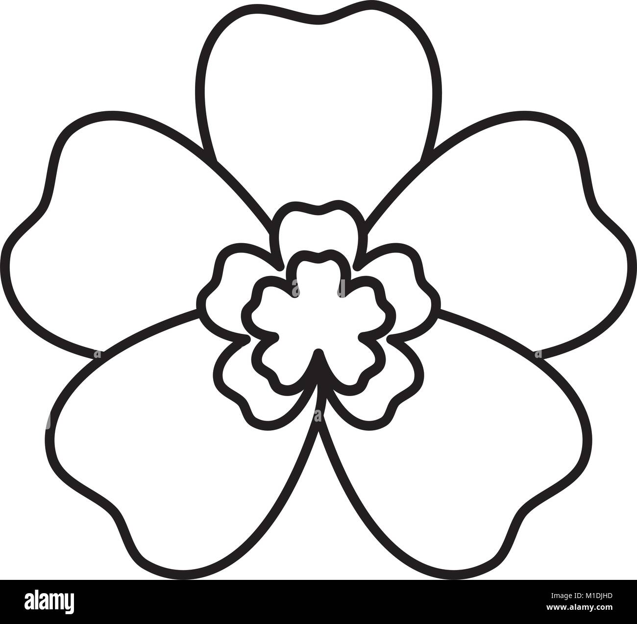 flower natural decoration ornament outline vector illustration outline ...
