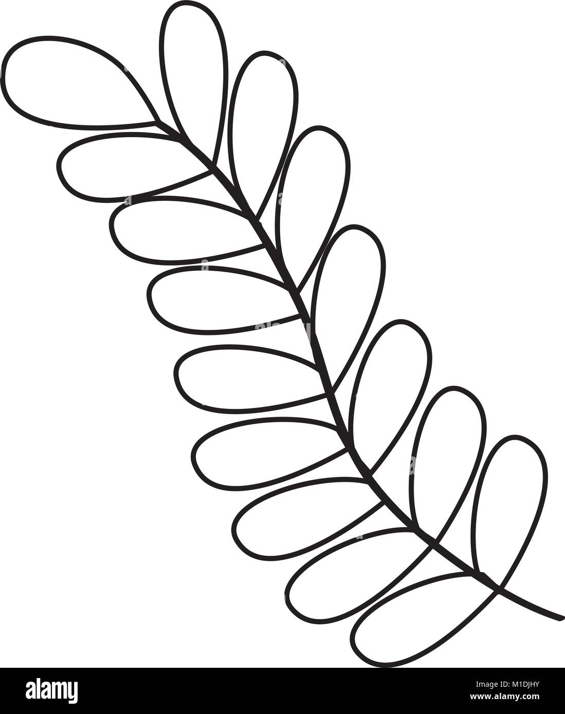 spring branch leaves nature foliage vector illustration outline design ...